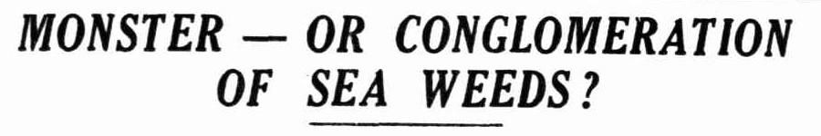 The Rottnest Monster – The Dusty Box